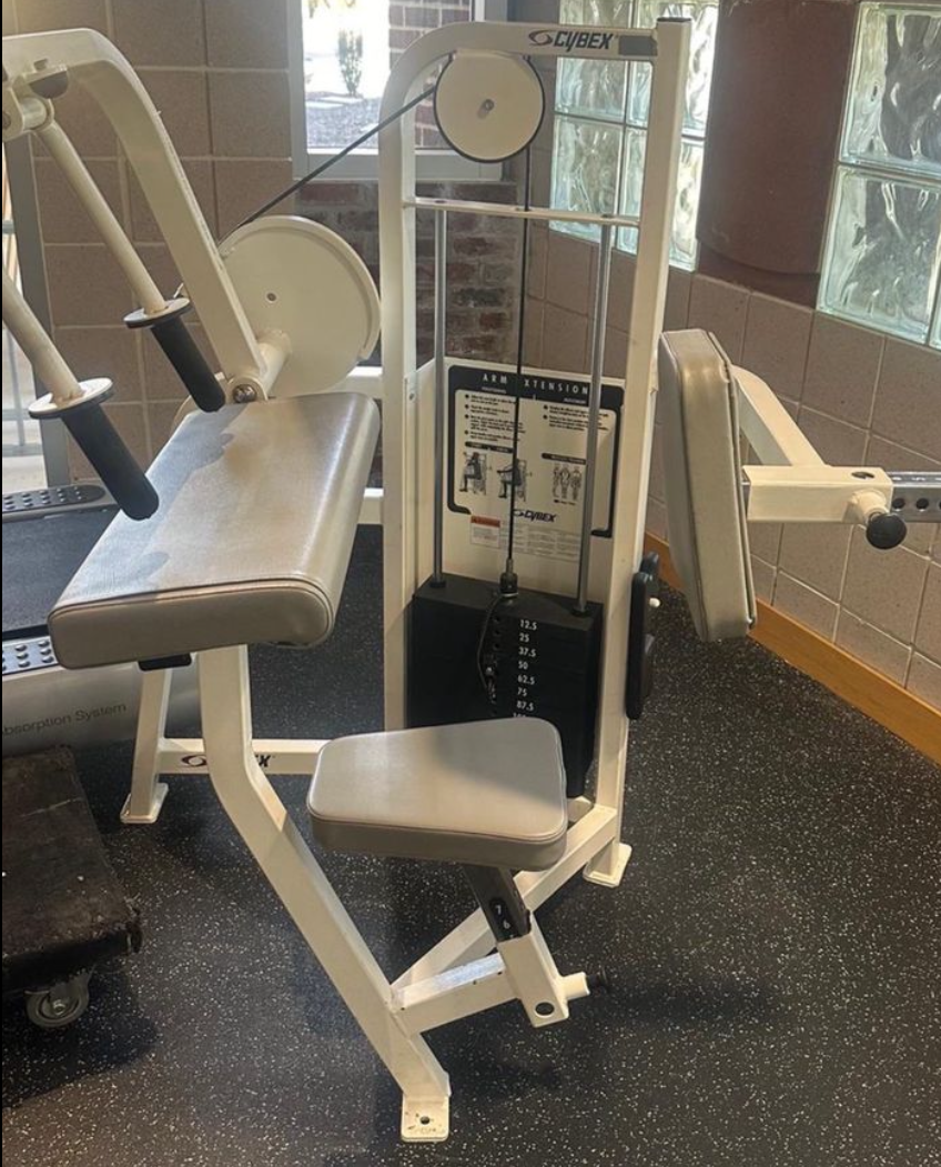 Cybex – Arm Extension – The GYM